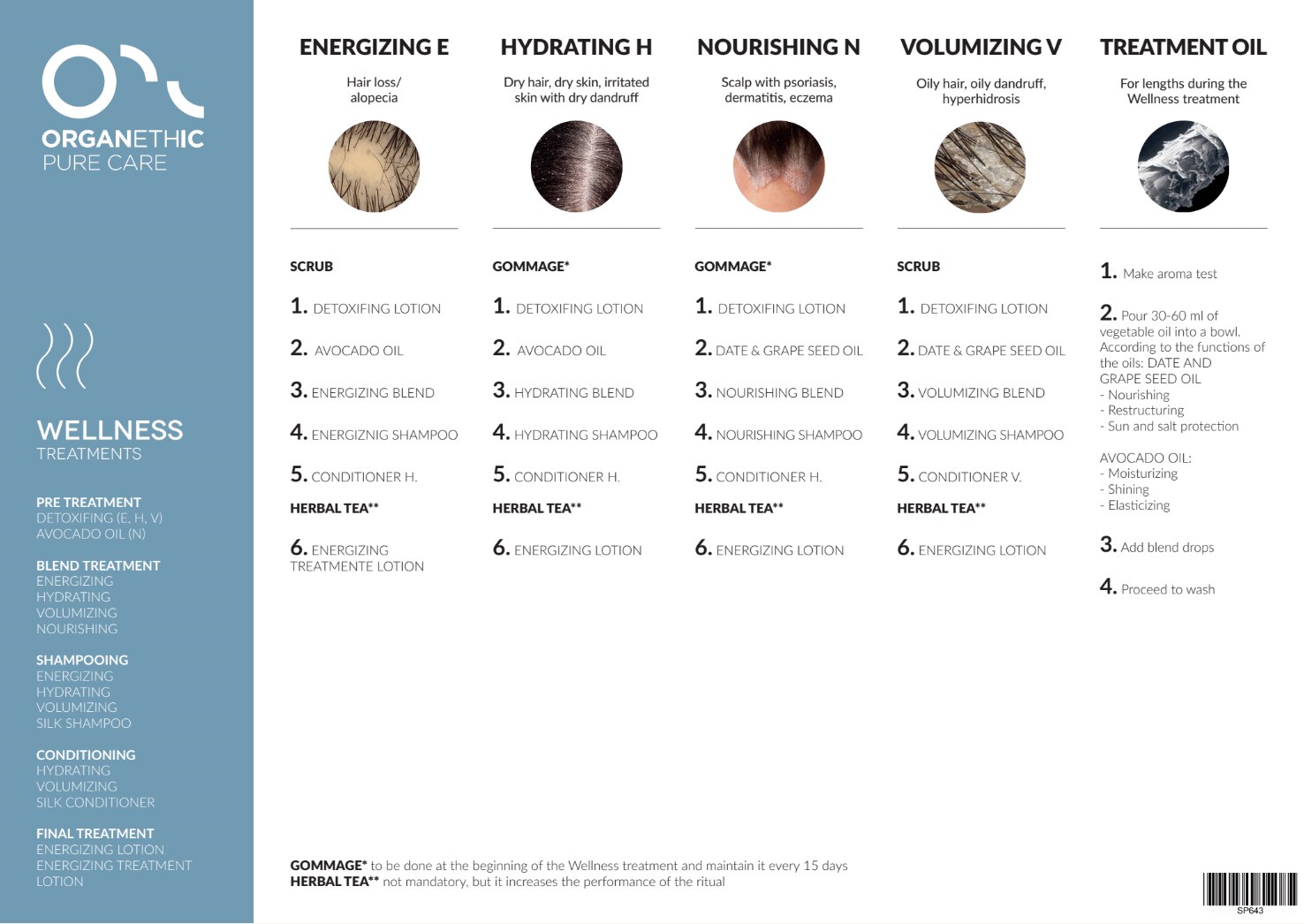 RITUAL TREATMENT WELLNESS CHART A3